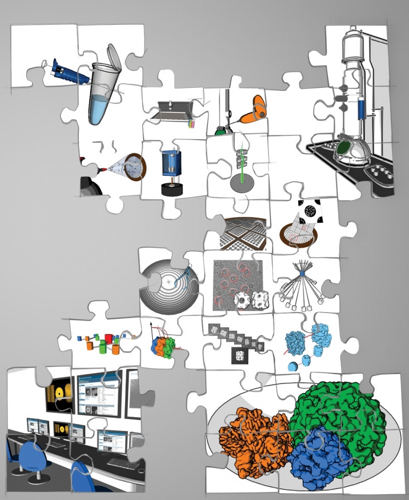 Automation In Single Particle Electron Microscopy Connecting The Pieces